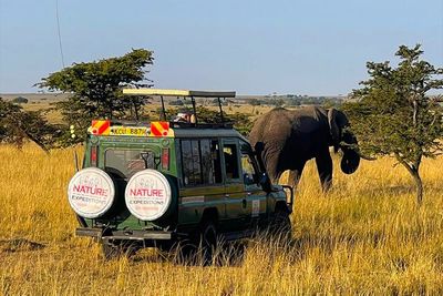ATTA :: Let’s Collaborate — 2026 Partnership Opportunities with Nature ...