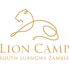 ATTA :: Lion Camp