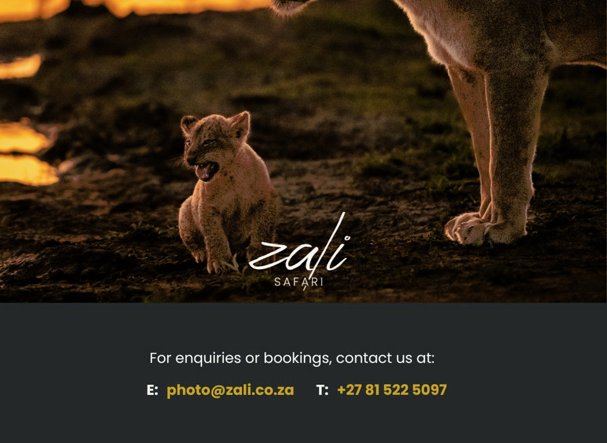 ATTA :: Zali Photography Pty Ltd