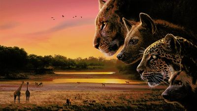 ATTA :: Robin Pope Safaris launch Nsefu Kingdom Safari