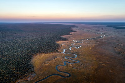 ATTA :: Natural Selection launches Angola flying safaris in 2020
