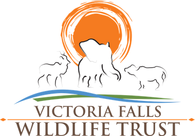 ATTA :: Victoria Falls Wildlife Trust