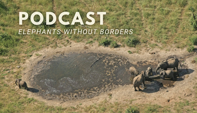 ATTA :: Hideaways' and Elephants Without Borders Podcast: A Passport to ...