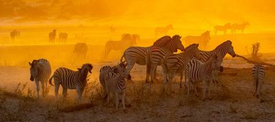 ATTA :: KAZA TFCA at ITB Berlin